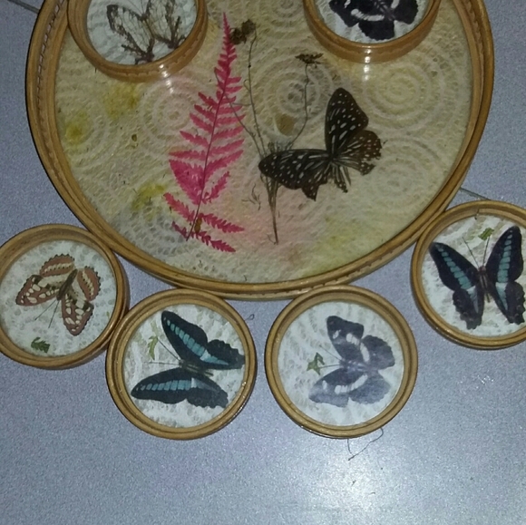 Bamboo coasters | Dining | Vintage Server Tray And Coasters Of Butterflies Dried Flowers | Poshmark